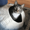 Sky Blue & White Cat Cave – Cat Cave Co