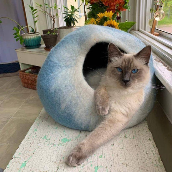 Sky Blue & White Cat Cave – Cat Cave Co