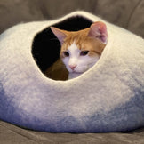 Sky Blue & White Cat Cave – Cat Cave Co